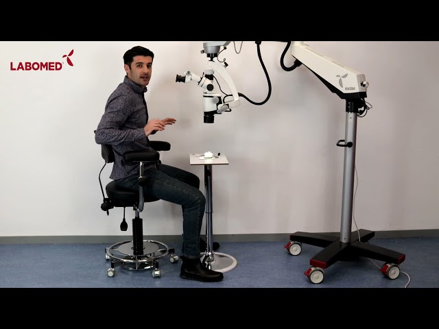 Dental Chairs - Labomed Ergoflex - DENTAL STOOL Trader - Wholesaler ...