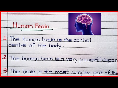 10/20 Lines on Human Brain🔥Human Brain🔥 Essay/Paragraph on Human Brain || Human Brain Information