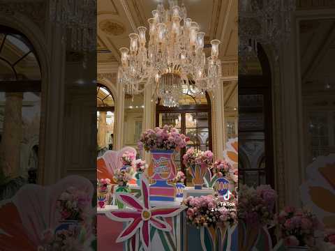 High Tea at the Plaza #hightea #plaza #nyc