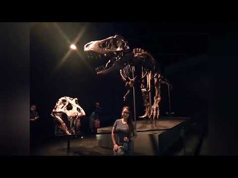 Our Visit @Natural History Museum Exhibition Abu Dhabi