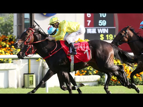 ジョッキークラブスプリント（G2） 2023/11/19(日) | 日程・結果 | JRA-VAN World - 海外競馬情報サイト