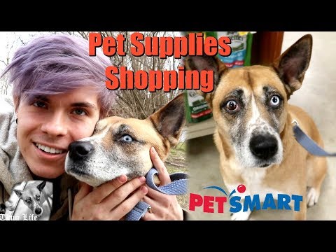 PET SUPPLIES SHOPPING WITH NOVA