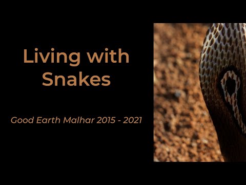 Living with Snakes (Good Earth Malhar, 2015 - 2021)