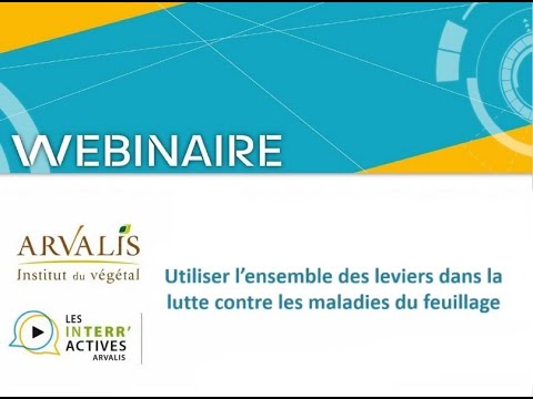 Utiliser l'ensemble des leviers dans la lutte contre les maladies du feuillage en pomme de terre
