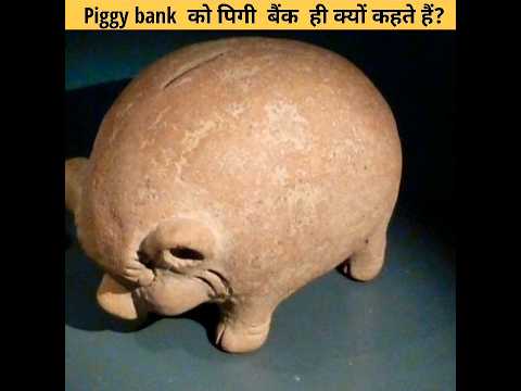 piggy bank को piggy bank ही क्यों कहते hai? ||suar kaise bna pig bank || Why is it called piggy bank