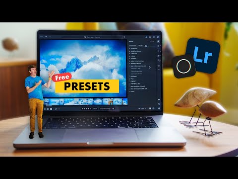Presets 101: A Beginner's Guide to Using Presets for Photo Editing