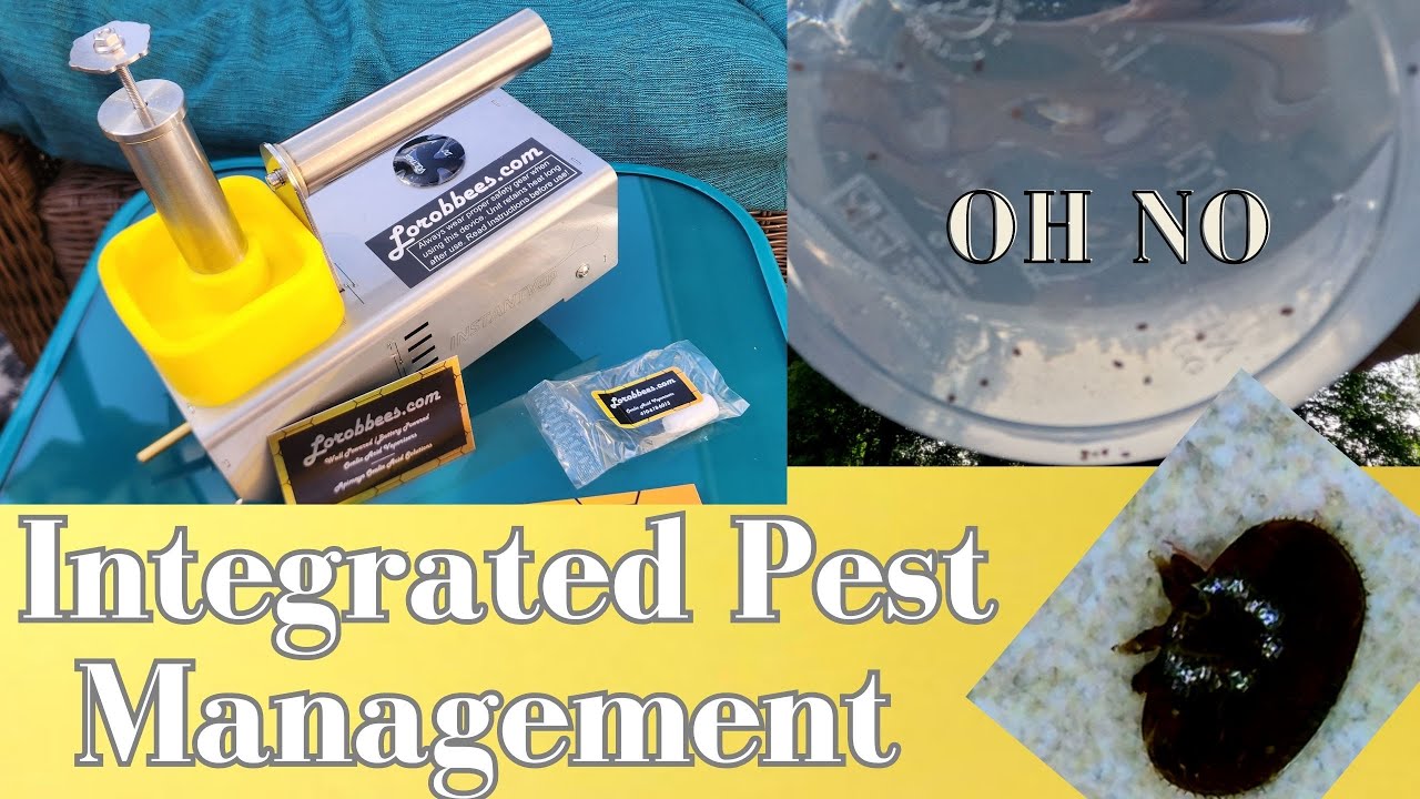My Integrated Pest Management | Beekeeping IPM
