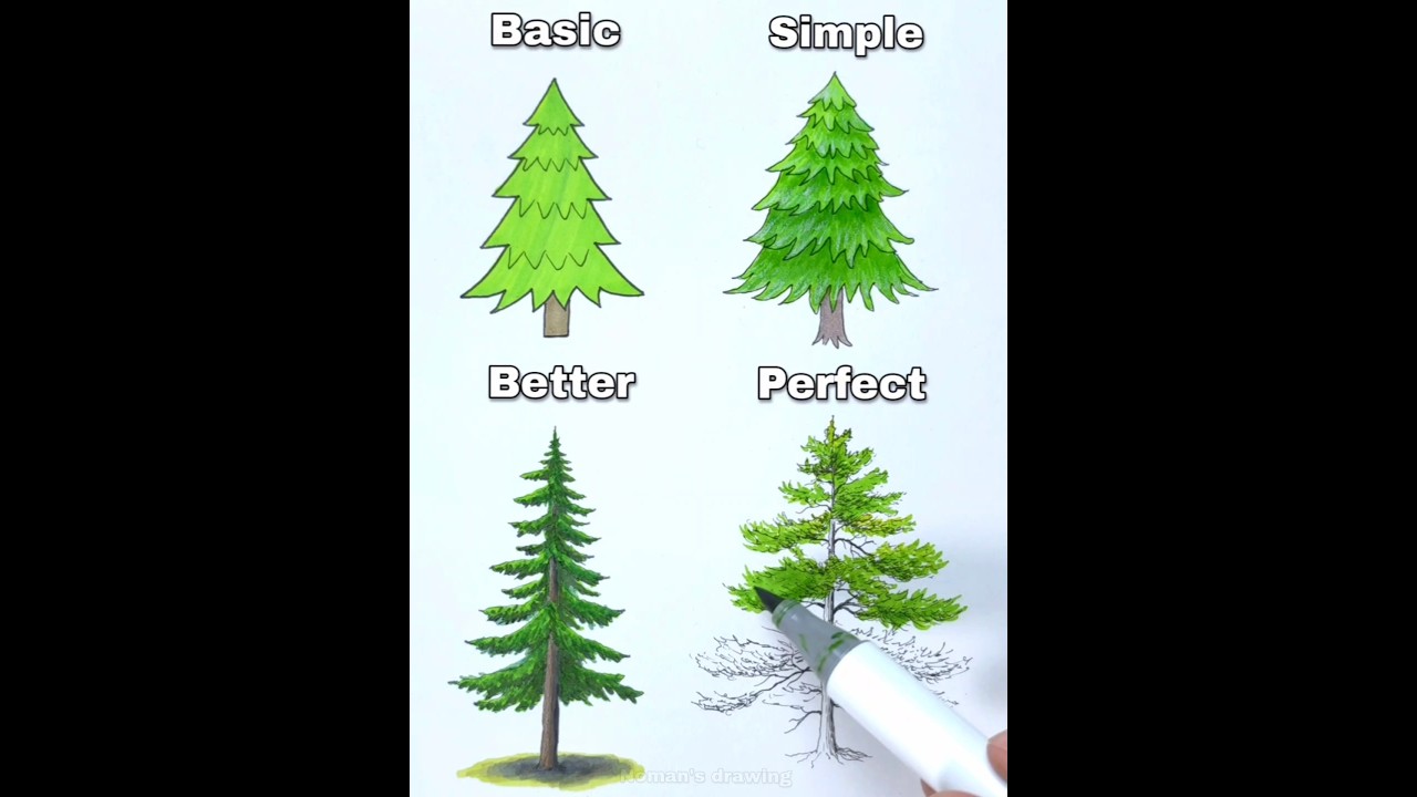 Pine Tree Drawing #art #drawing #artist