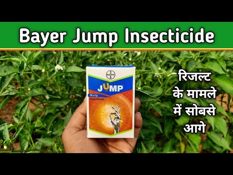 Bayer Insecticides - Latest Price, Dealers & Retailers in India