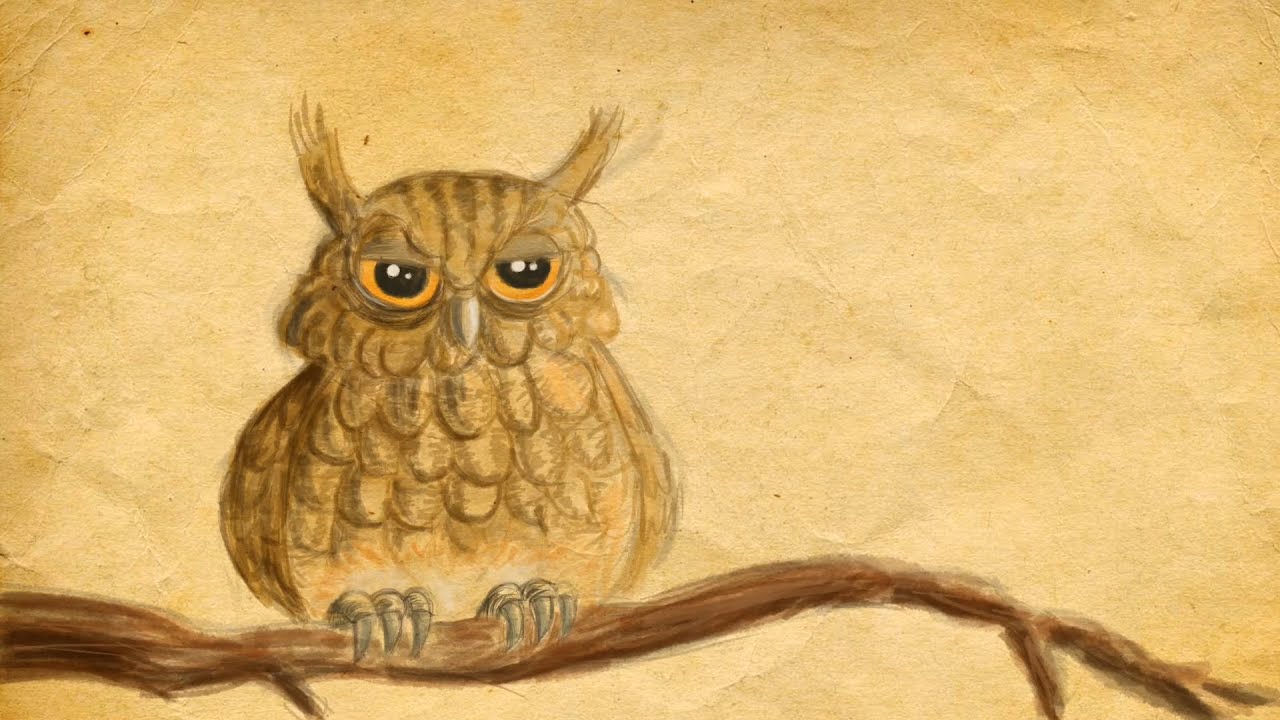 Painting Owls in Gouache and Water Colour in Procreate