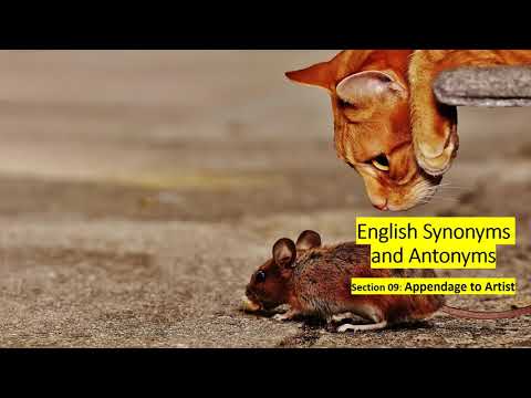 English Synonyms and Antonyms, Section 09: Appendage to Artist