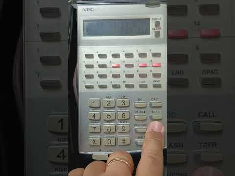 NEC topaz check time and change