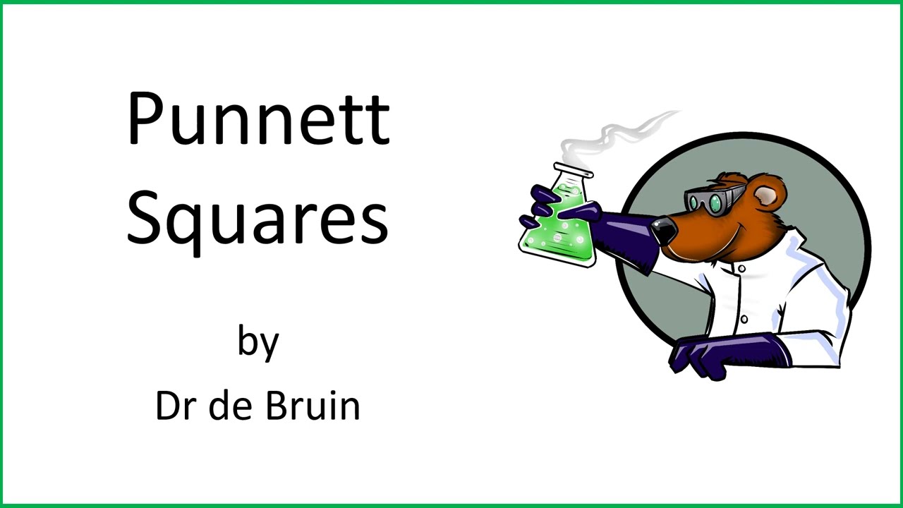 Understanding Punnett Squares: A Comprehensive Guide for AQA GCSE ...