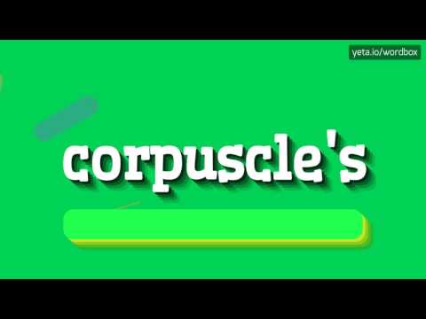 CORPUSCLE'S - HOW TO PRONOUNCE IT!?