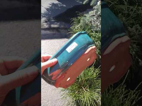 Bonsai Newb Ep 5: Finding a pot and soil !