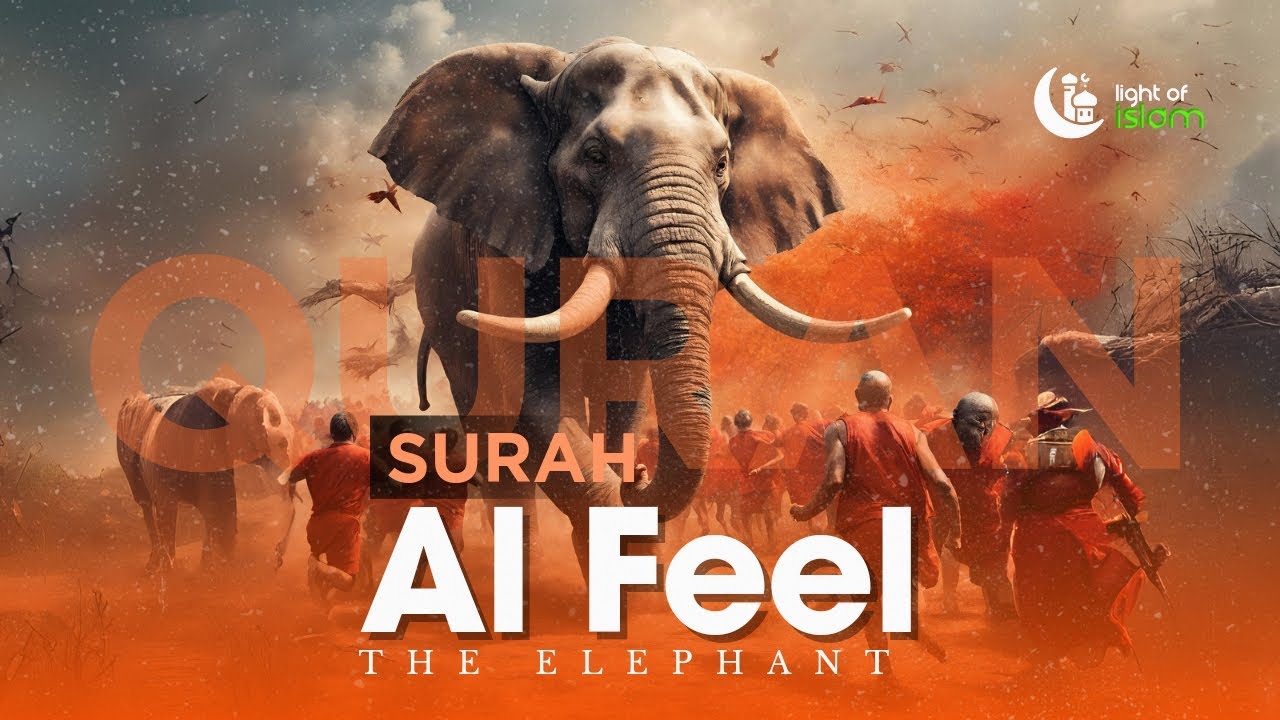 Surah feel with urdu translation Surah al fil quranurdutranslation ...