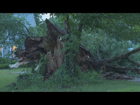 Stormy weather topples trees in southern Maine after day of extreme heat