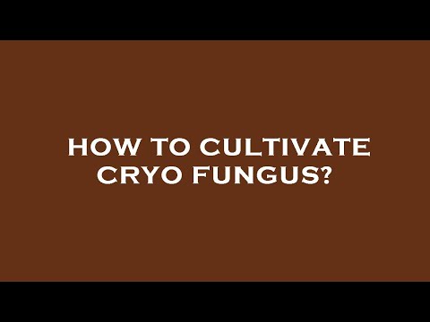 How to cultivate cryo fungus?