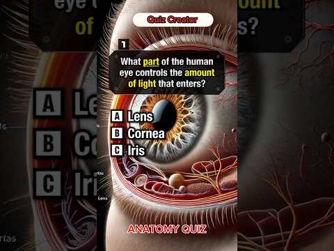 Anatomy Quiz #shortsfeed #ytshorts #shortsbeta #quizchallenge #youtubeshorts #anatomyquiz #quiztime
