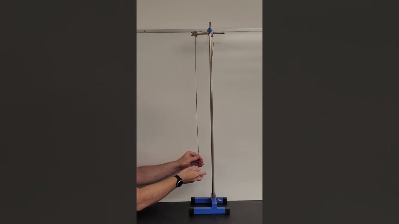 IYPT 2026 - 5  Elastic wave dynamics - Demo