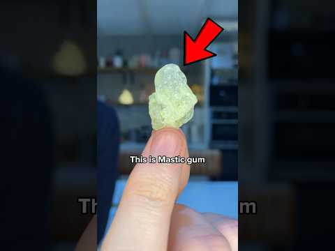 Mastic Gum Lasts Forever?