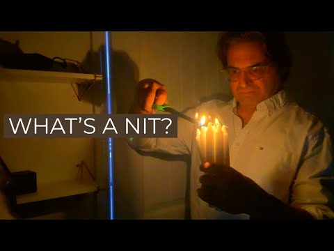 What’s a Nit?