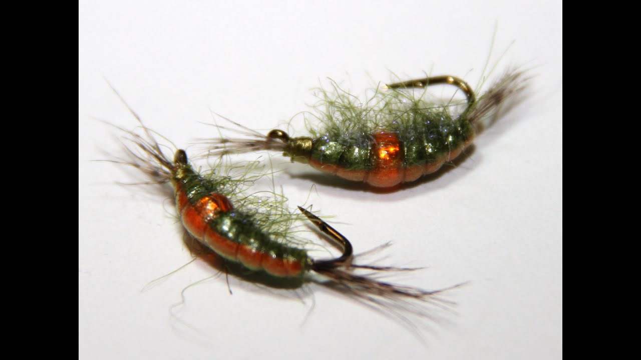 Fly Tying - Pregnant Scud
