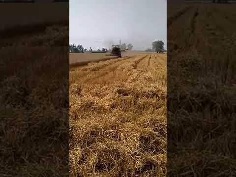 Pnaser combine standard tractor 460