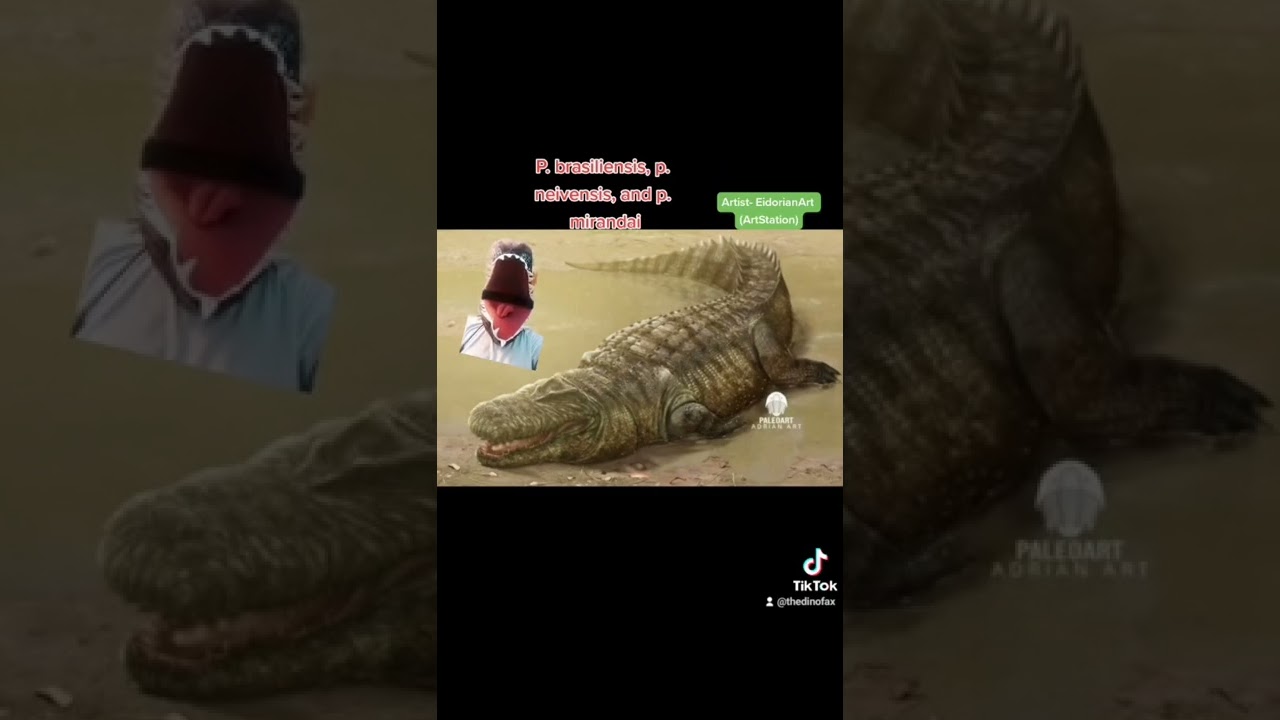 The LARGEST croc, Purussaurus!