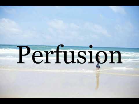 How To Pronounce Perfusion๐๐๐๐๐๐Pronunciation Of Perfusion