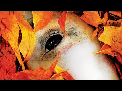 The Alphabet Killer Full Movie Facts And Review | Martin Donovan | Eliza Dushku