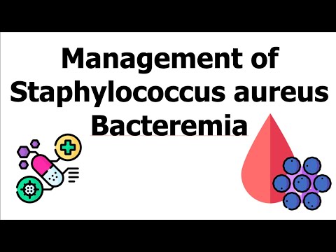 Management of Staphylococcus aureusBacteremia: IDSA Guidelines
