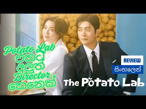Potato Lab එකට අලුත් Director කෙනෙක් | The Potato Lab Kdrama Sinhala Review