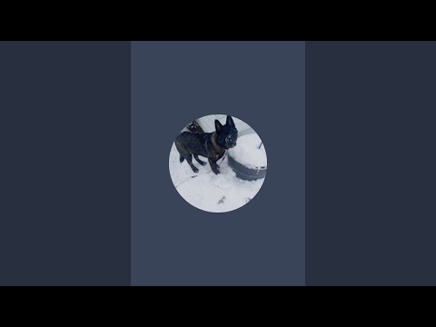 eric nichols is live!