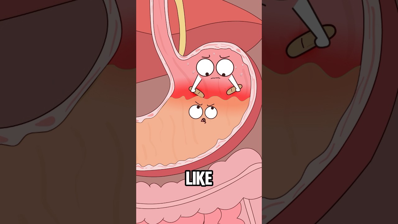 Why does drinking too much alcohol give you a stomachache?#animation #funny #shorts #health