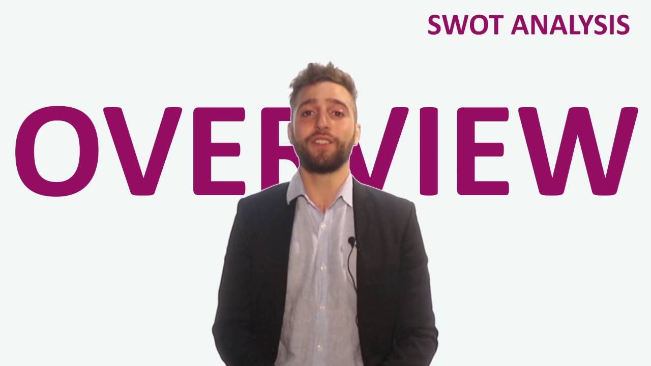 Overview of the SWOT Analysis