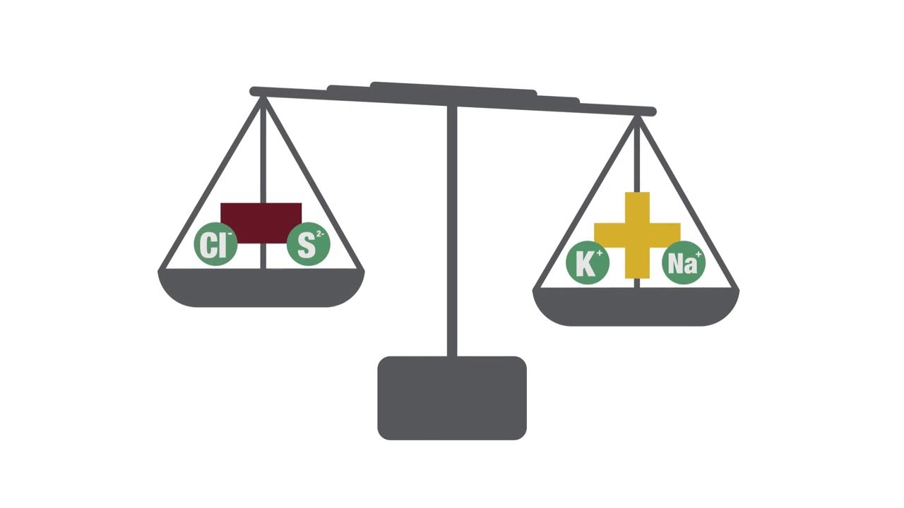 The DCAD Balancing Equation