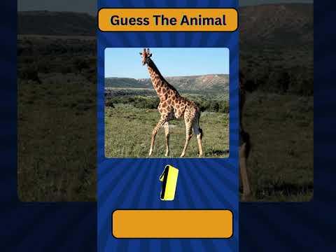 Guess The Animal 12 | Quiz Tunnel