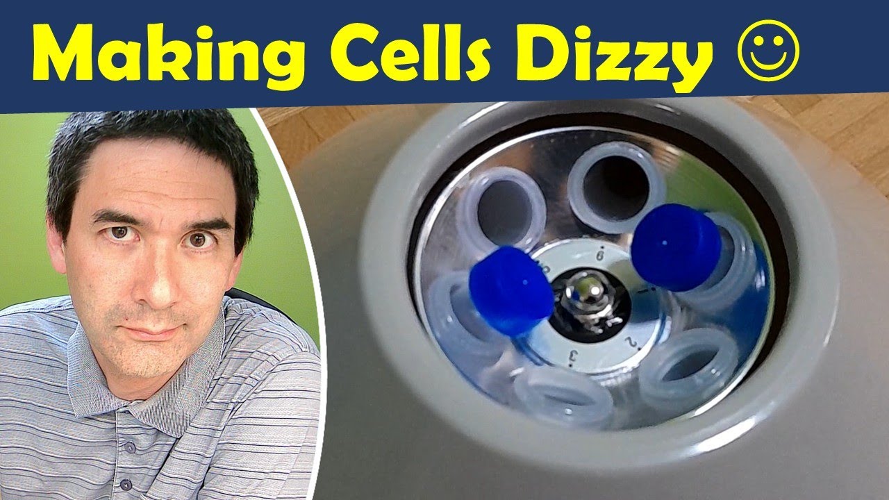 🔬 How to use a CENTRIFUGE to concentrate algae
