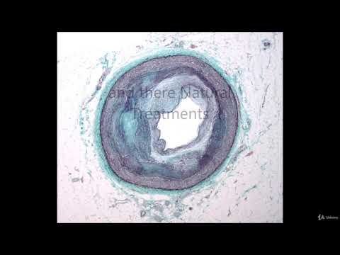 Doctor of Natural Medicine - learn Natural Medicine