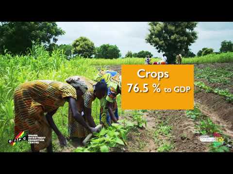 Ghana's Agricultural Sector in 2019