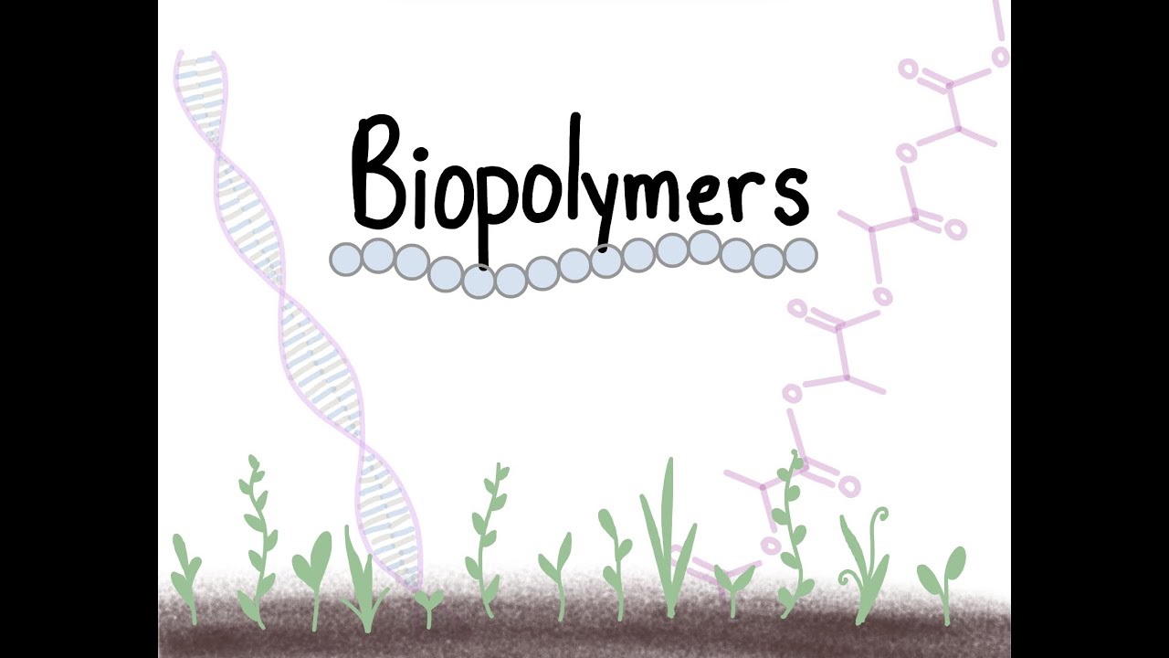 Biopolymers