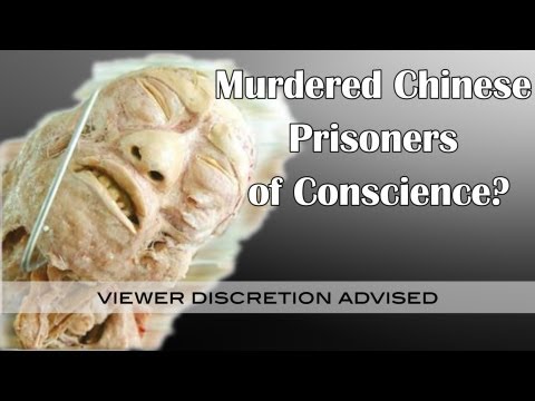 Are Plastinated Bodies Murdered Chinese Prisoners of Conscience? | China Uncensored