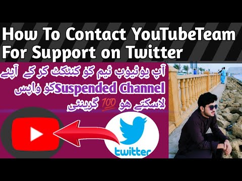 How To Contact YouTube Support Team On Twitter | How to twitte YouTubeTeam for help on Twitter