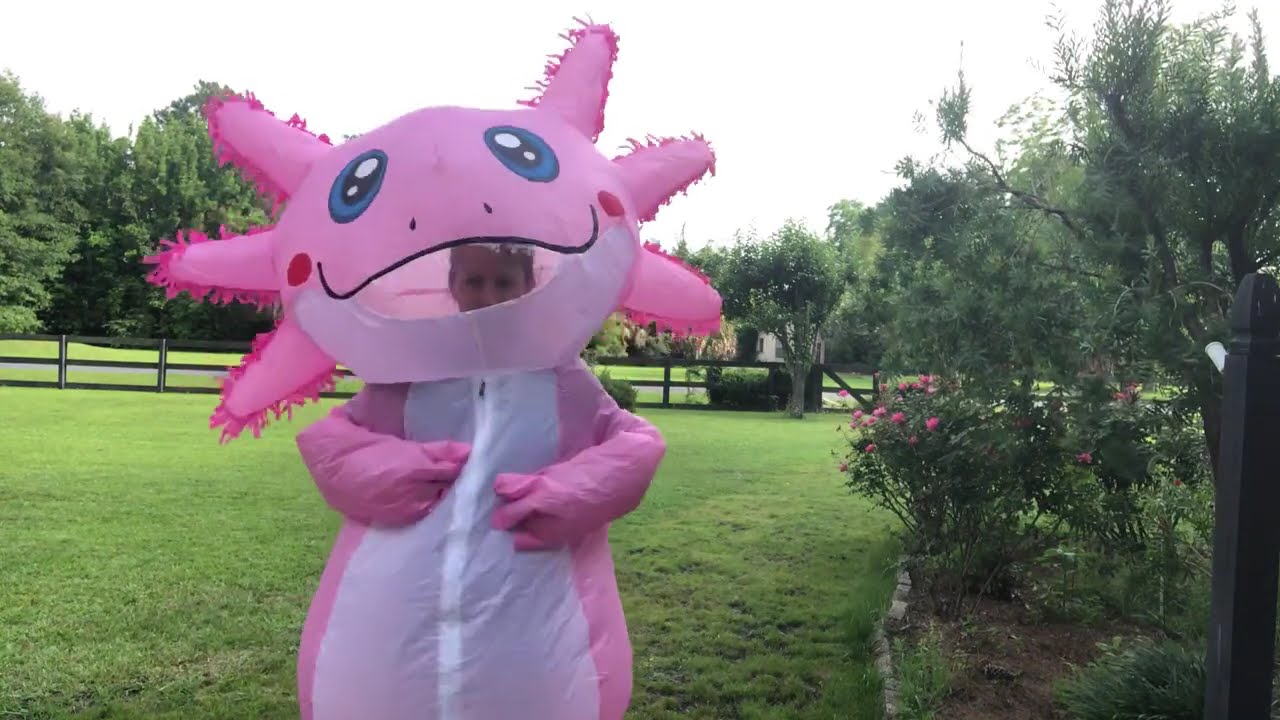 JOYBRO Inflatable Axolotl Costume Adult Funny Axolotl Costume Blow up Costumes Review