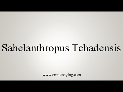 How To Say Sahelanthropus Tchadensis