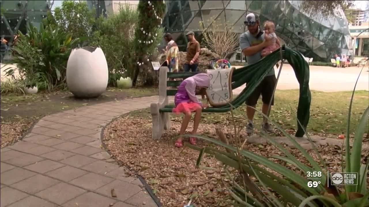 Decade Of Wishes From Dali Museum Wish Tree Captured In New Book - book ...