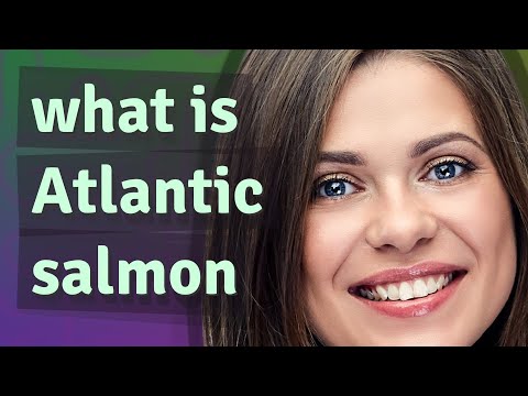 Atlantic salmon | meaning of Atlantic salmon