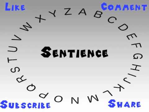 How to Say or Pronounce Sentience