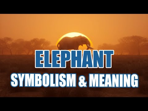 What Does the Elephant Symbolize? Elephant in Dream Meaning - Sign Meaning